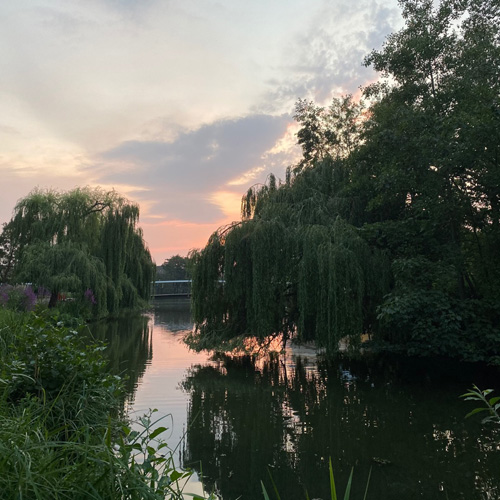 Annie Graham – Favourite Covers – CULTURE CLUB SOCIAL